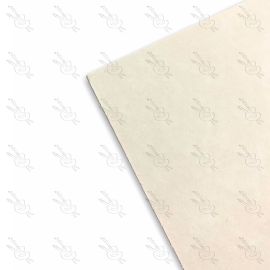 Cartones y Foam - Papelería, Block